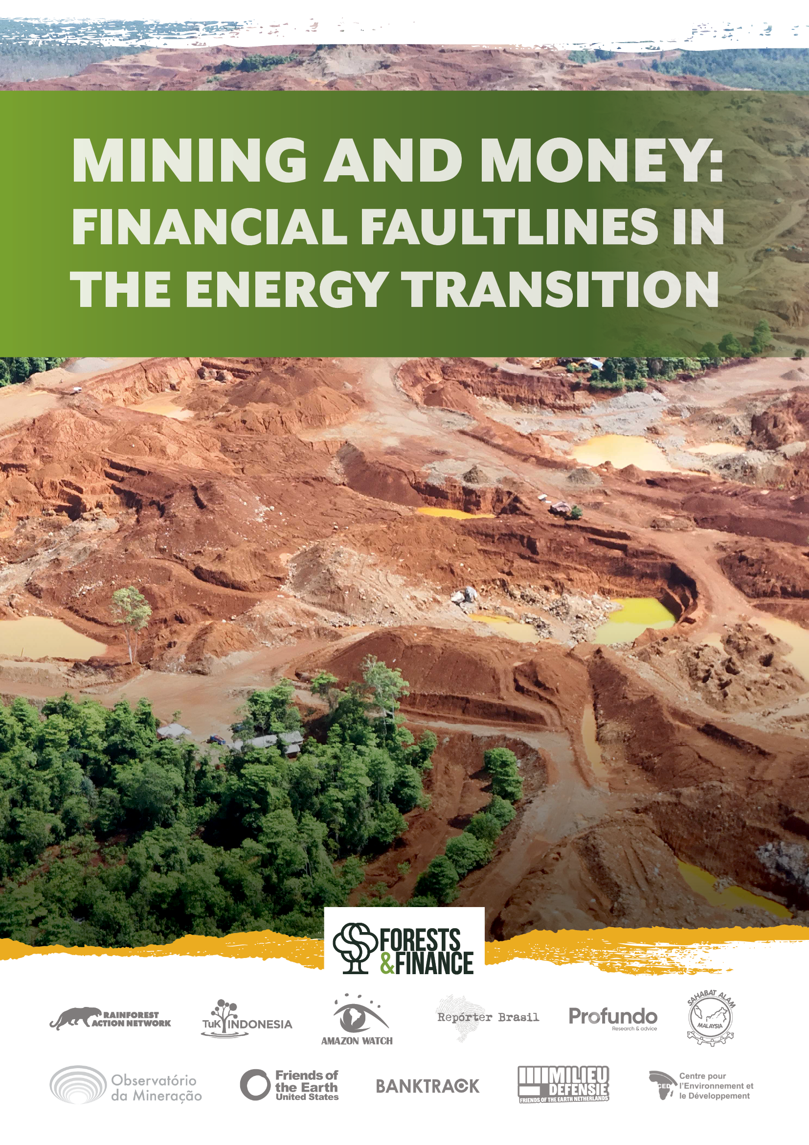 Home - Forests & Finance